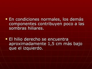 Anatomia De Torax | PPT