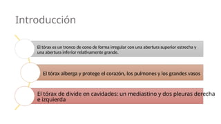 ANATOMÍA DE TÓRAX Tema General Resumido. | DOCX