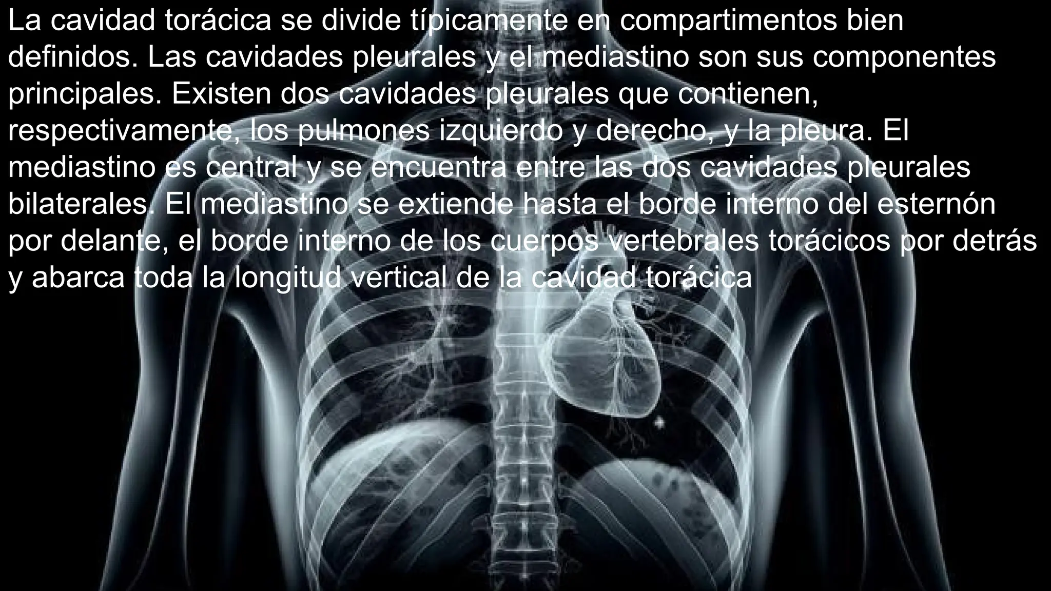Anatomía de tórax por Diagnostico y Radiografia.pptx