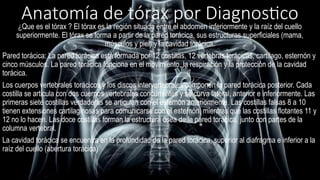 Anatomía de tórax por Diagnostico y Radiografia.pptx