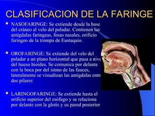 ANATOMIA DE VIA AREA EN ANESTESIOLOGIA Y REANIMACION | PPT