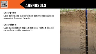Anatomia di un terreno - Anatomy of a Ground | PPT