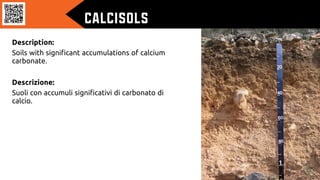 Anatomia di un terreno - Anatomy of a Ground | PPT