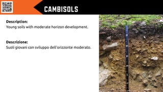 Anatomia di un terreno - Anatomy of a Ground | PDF