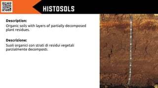 Anatomia di un terreno - Anatomy of a Ground | PDF