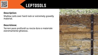 Anatomia di un terreno - Anatomy of a Ground | PPT