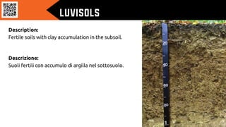 Anatomia di un terreno - Anatomy of a Ground | PDF