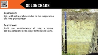 Anatomia di un terreno - Anatomy of a Ground | PPT