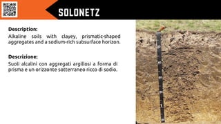 Anatomia di un terreno - Anatomy of a Ground | PPT