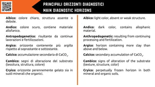 Anatomia di un terreno - Anatomy of a Ground | PPT