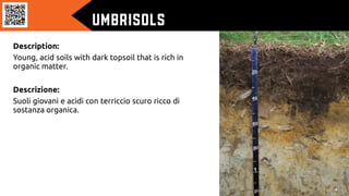 Anatomia di un terreno - Anatomy of a Ground | PPT