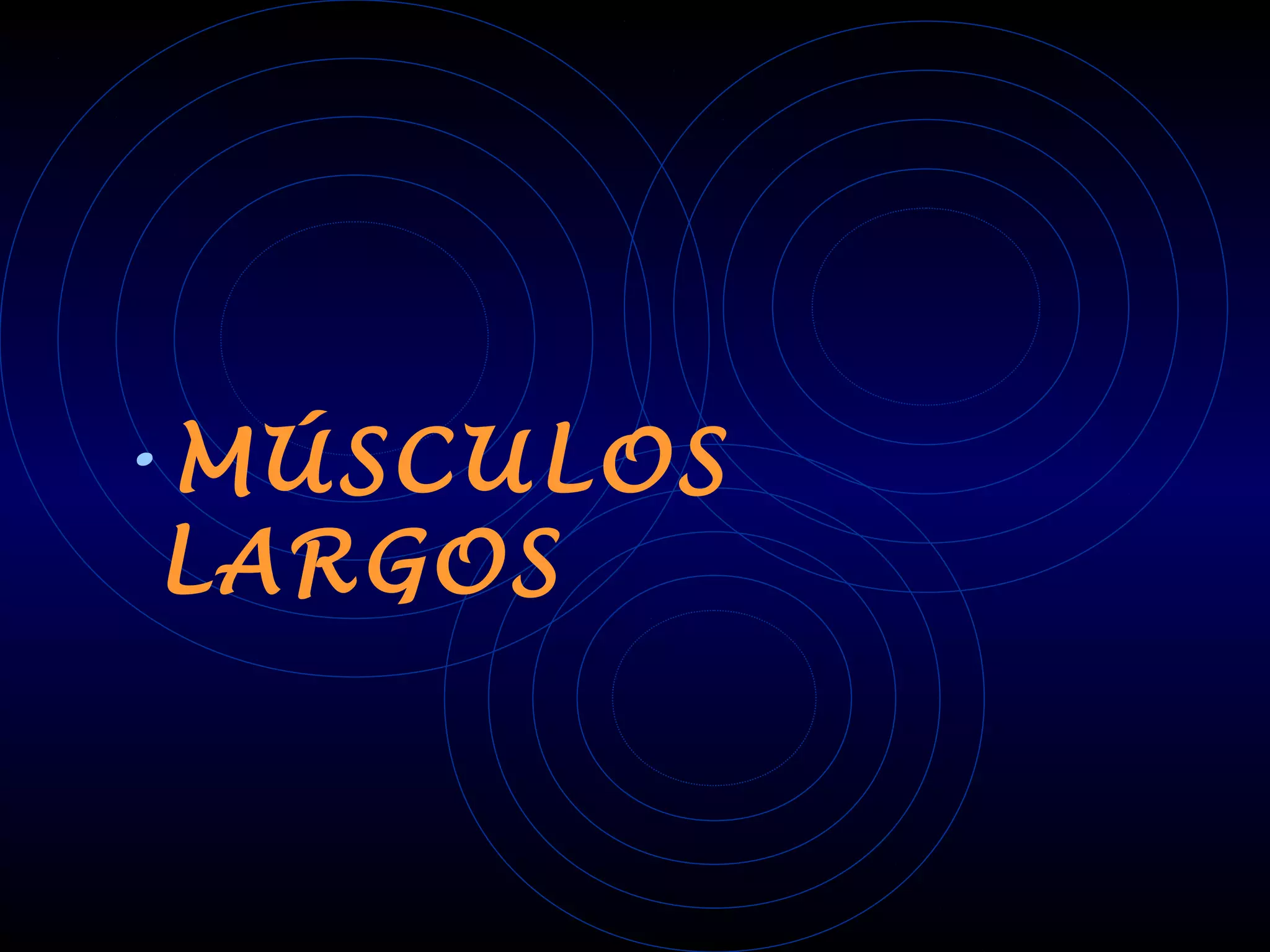 Anatomia do Abdome e Região Inguinal | PPT