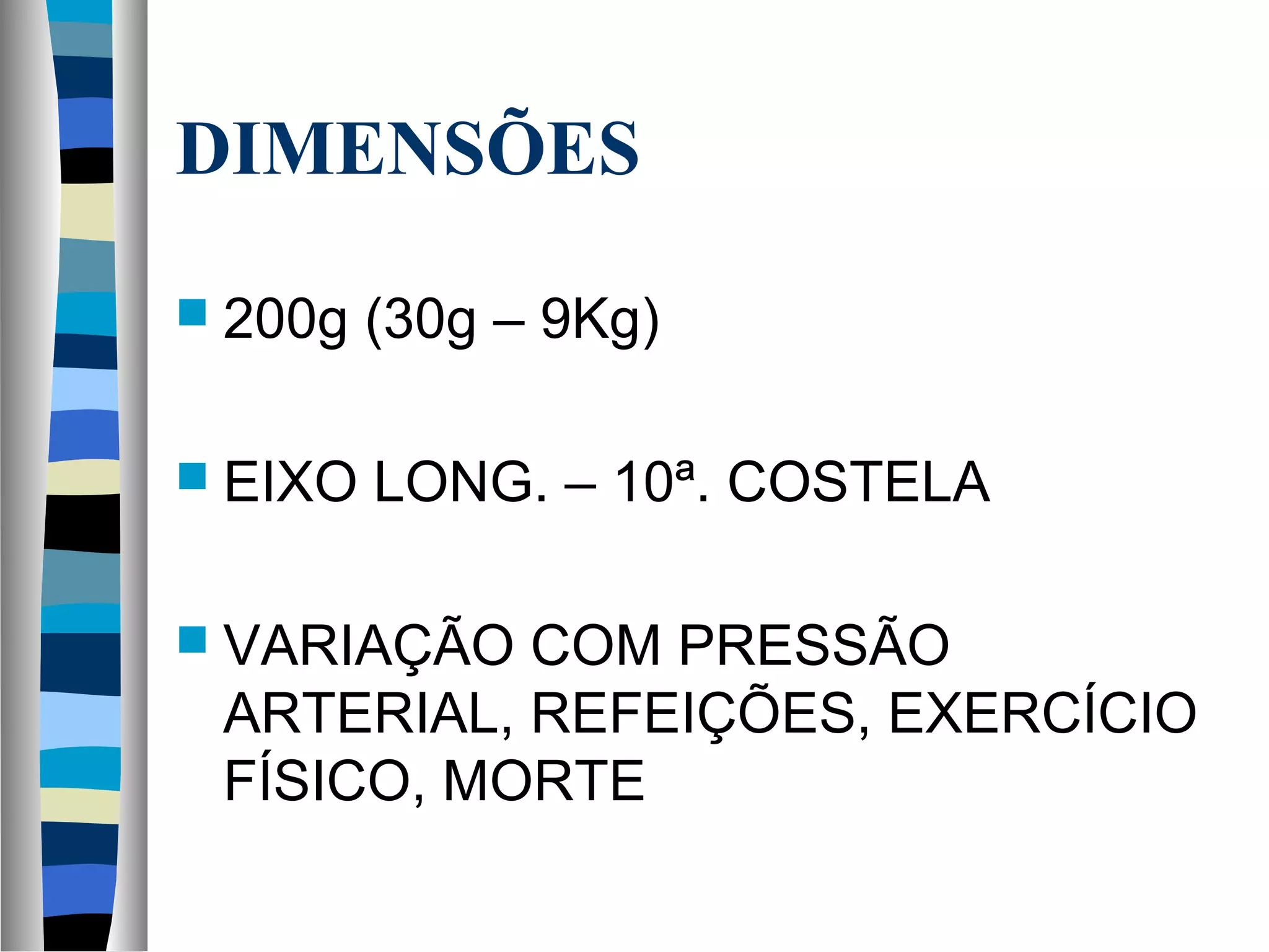 Anatomia do Baço | PPT