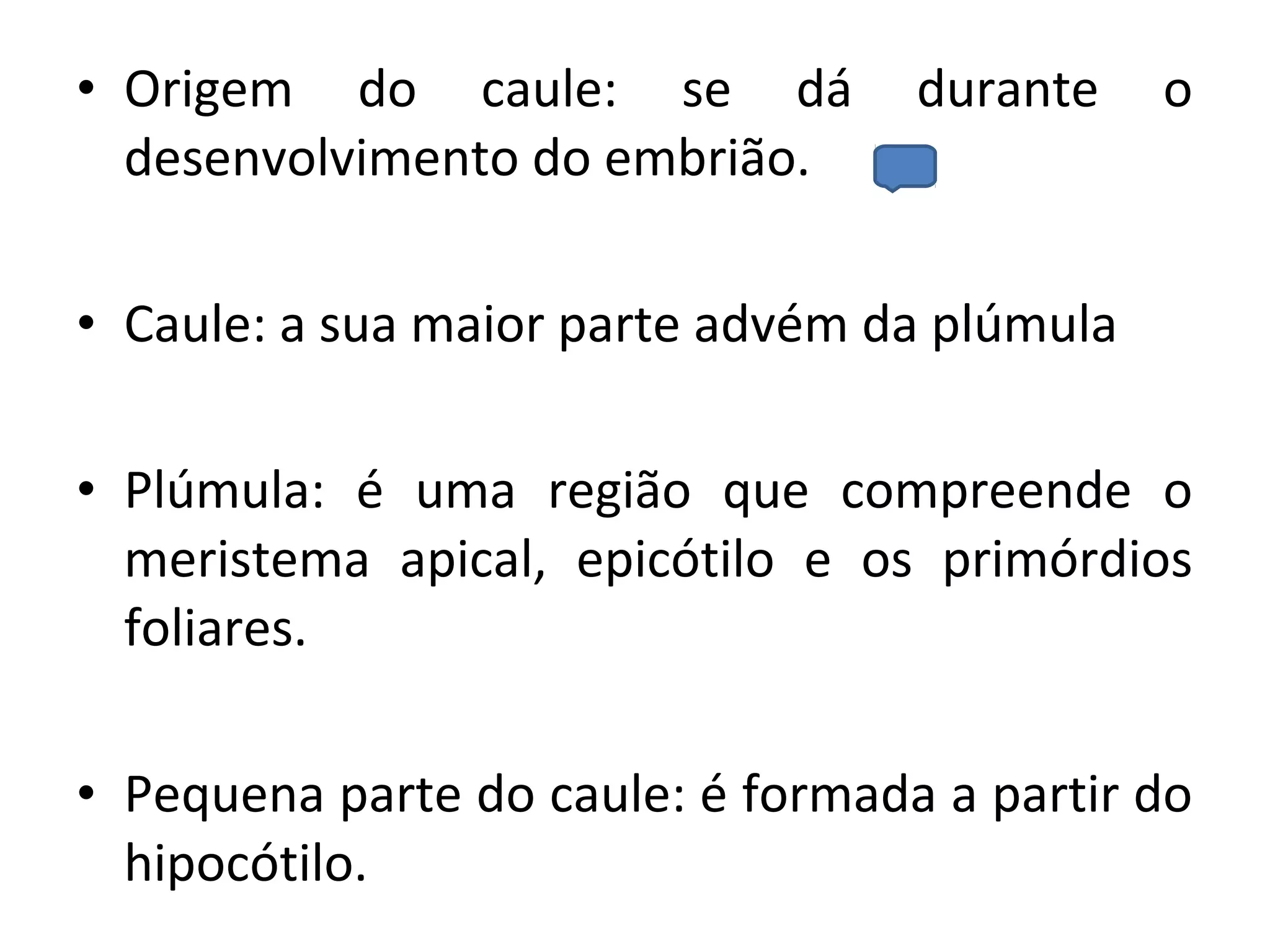 Anatomia do caule | PPT