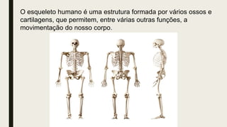 Anatomia Do Corpo Humano Ciência 9ano Pptx
