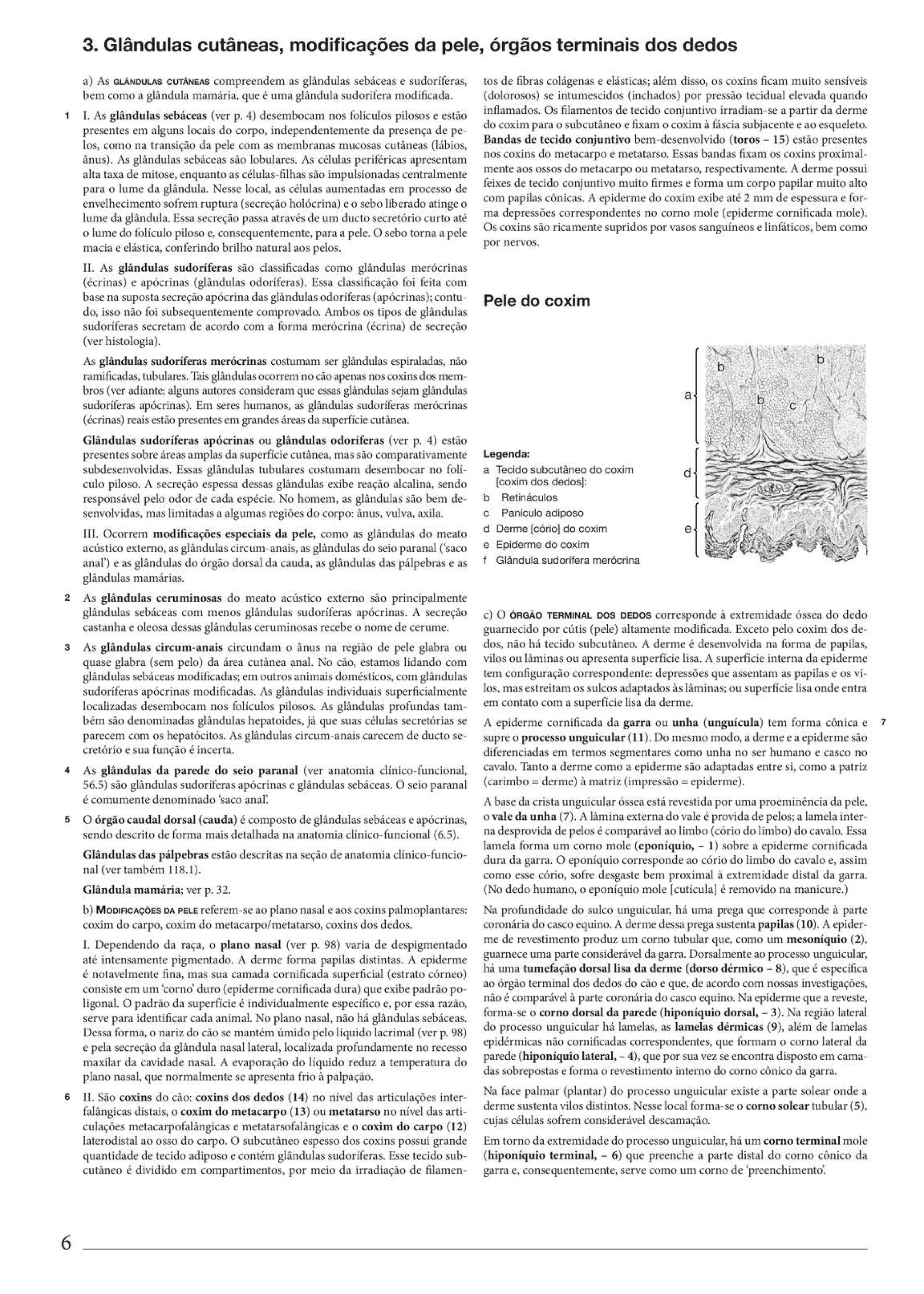 Anatomia Do Cão Texto E Atlas 5ª Ed.pdf