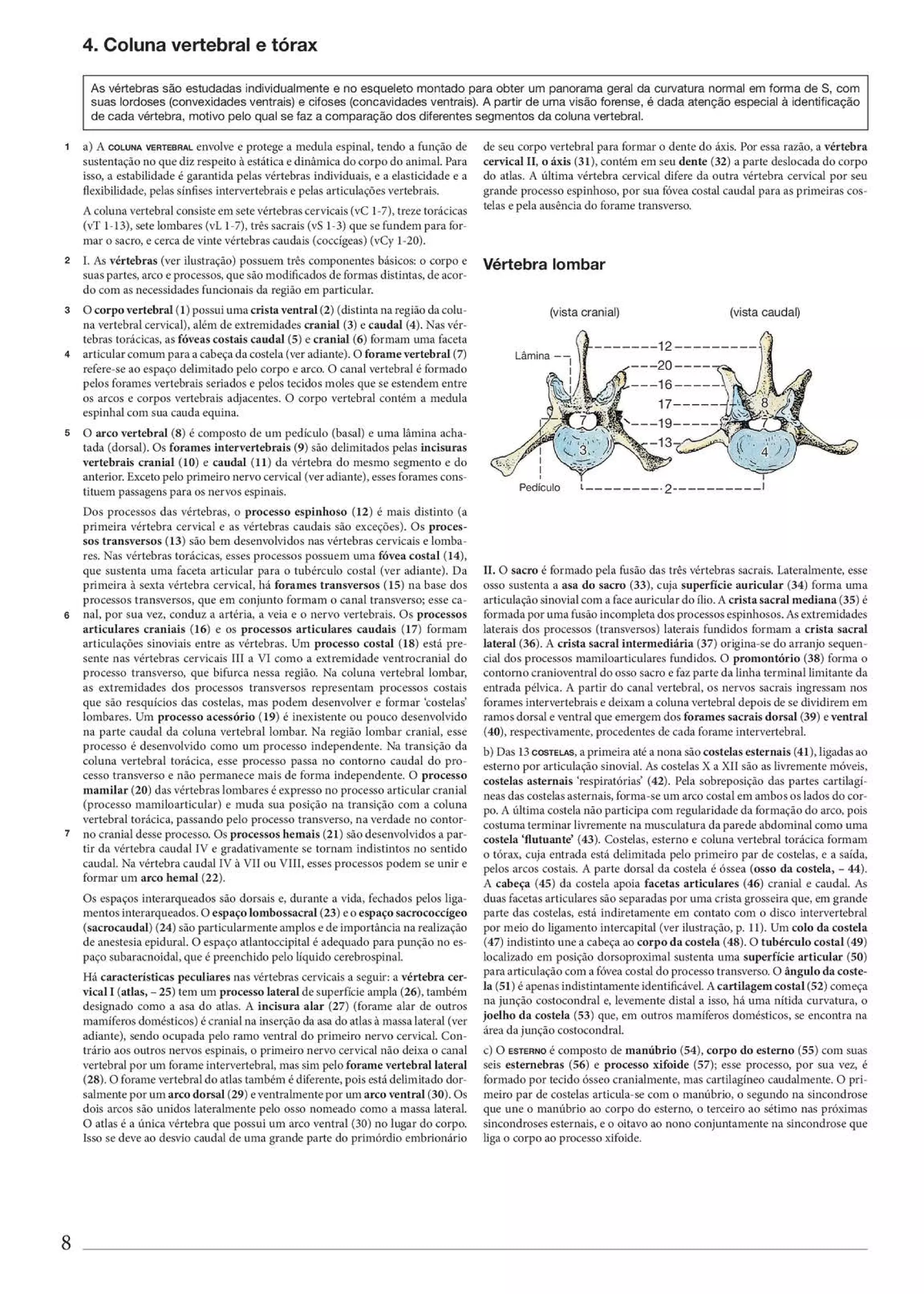 Anatomia Do Cão Texto E Atlas 5ª Ed.pdf