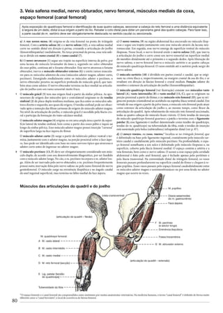 Anatomia Do Cão Texto E Atlas 5ª Ed.pdf