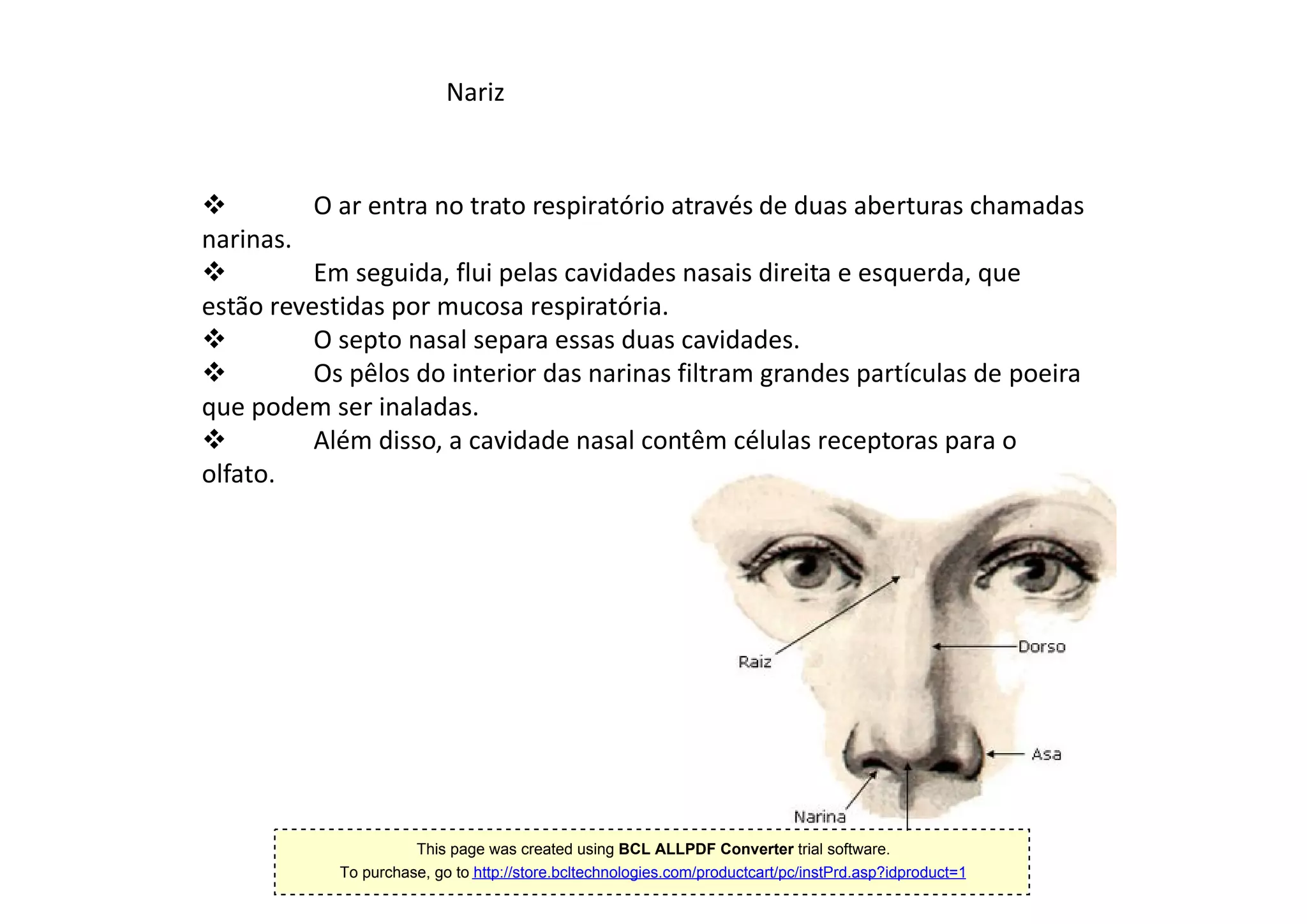 Anatomia do torax (1) | PDF