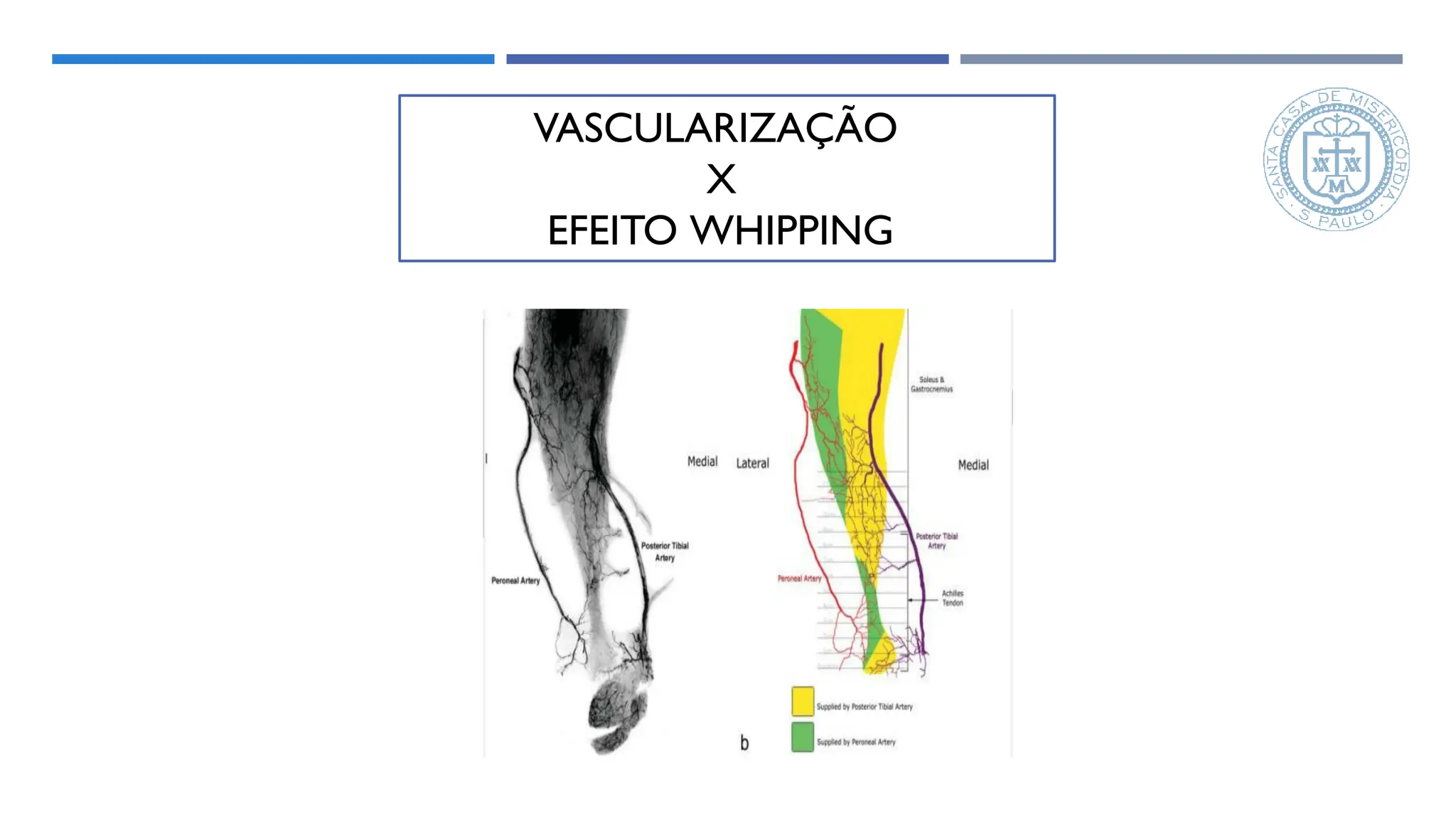 anatomia e biomecanica do pé sao paulo a | PPT