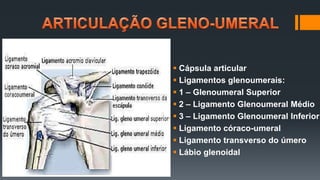 ANATOMIA E CINESIOLOGIA DO OMBRO.pptx