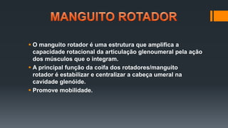 ANATOMIA E CINESIOLOGIA DO OMBRO.pptx