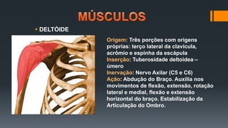 ANATOMIA E CINESIOLOGIA DO OMBRO.pptx