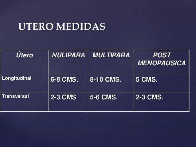 Anatomia ecografica de utero