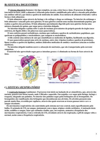 Anatomia e fisiologia - apostila | PDF