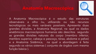 Anatomia e Fisiologia- Aula 02.pdf aulad | PDF