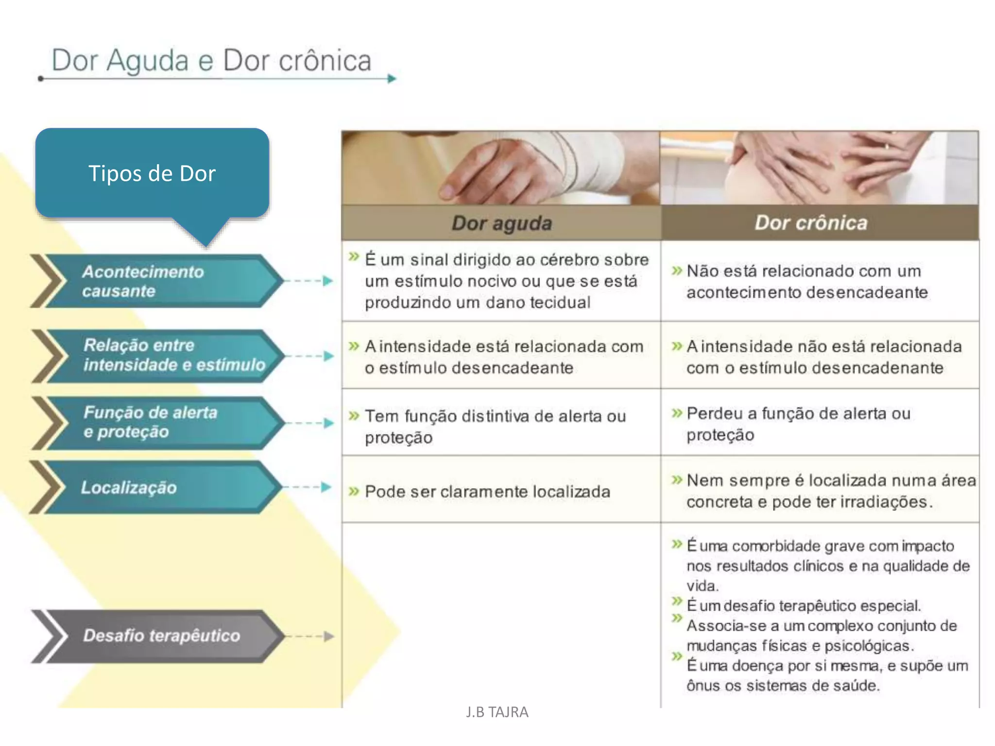 Anatomia e Fisiologia da Dor | PPTX