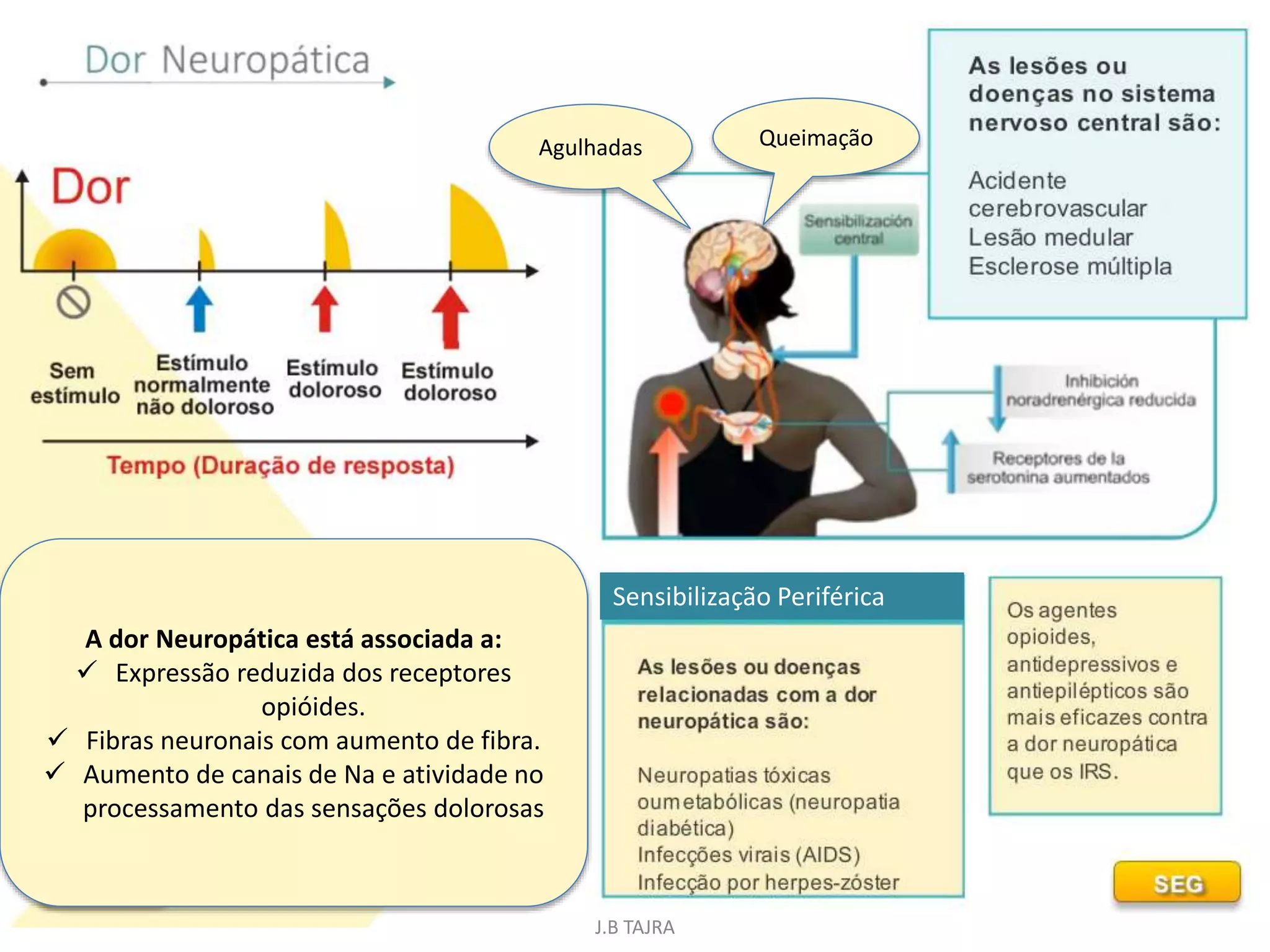 Anatomia e Fisiologia da Dor | PPTX