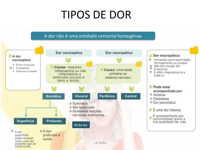 Anatomia e Fisiologia da Dor