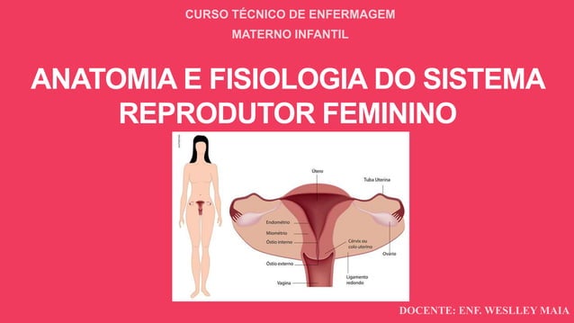 ANATOMIA E FISIOLOGIA DO SISTEMA REPRODUTOR FEMININO.pptx