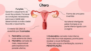Anatomia e Fisiologia do sistema Reprodutor Feminino.pptx