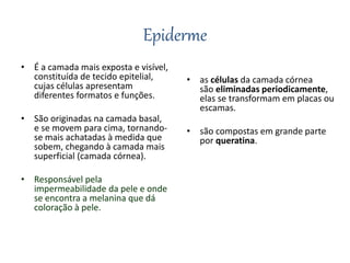 Anatomia e Fisiologia do Sistema Tegumentar.pptx