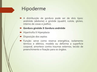 Anatomia e fisiologia do sistema tegumentar - Estácio.ppt