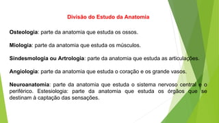 Anatomia e fisiologia humana | PPS