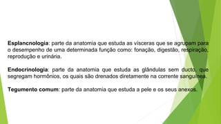 Anatomia e fisiologia humana | PPS