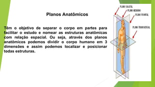 Anatomia e fisiologia humana | PPS