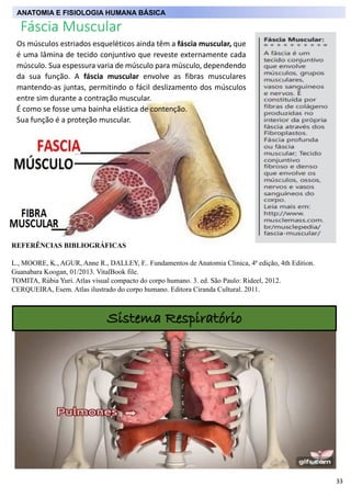 Anatomia e Fisiologia Humana Básica.pdf