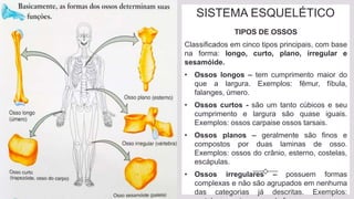 ANATOMIA E FISIOLOGIA HUMANAS (2).pptx