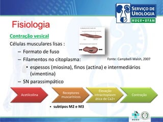 Anatomia e fisiologia vesical | PPTX