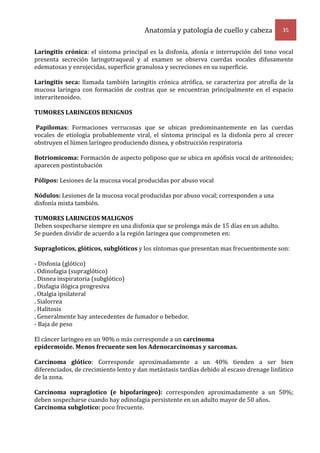 Anatomia e histologia del oido | DOCX