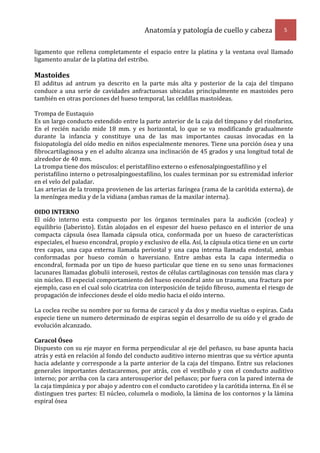 Anatomia e histologia del oido | DOCX