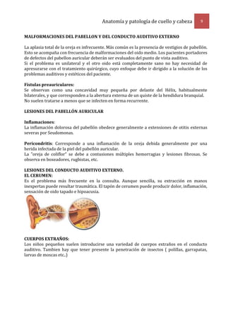 Anatomia e histologia del oido | DOCX
