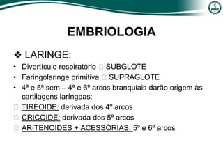 Anatomia, Embriologia, Histologia e Fisiologia da (1).pptx