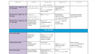 ANATOMÍA, EMBRIOLOGÍA Y FISIOLOGÍA DE FARINGE Y LARINGE (1).pptx