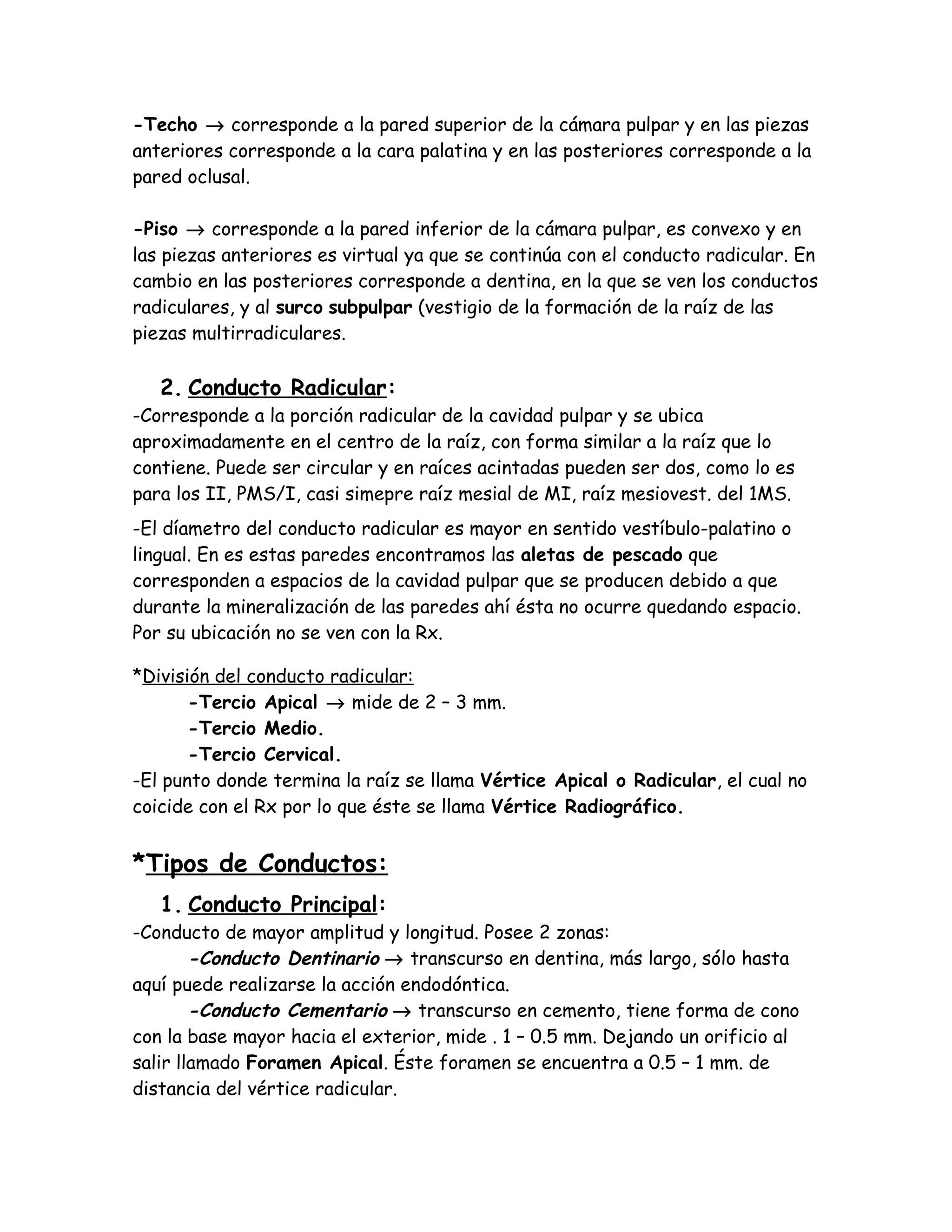 Anatomiaendodontica | DOC