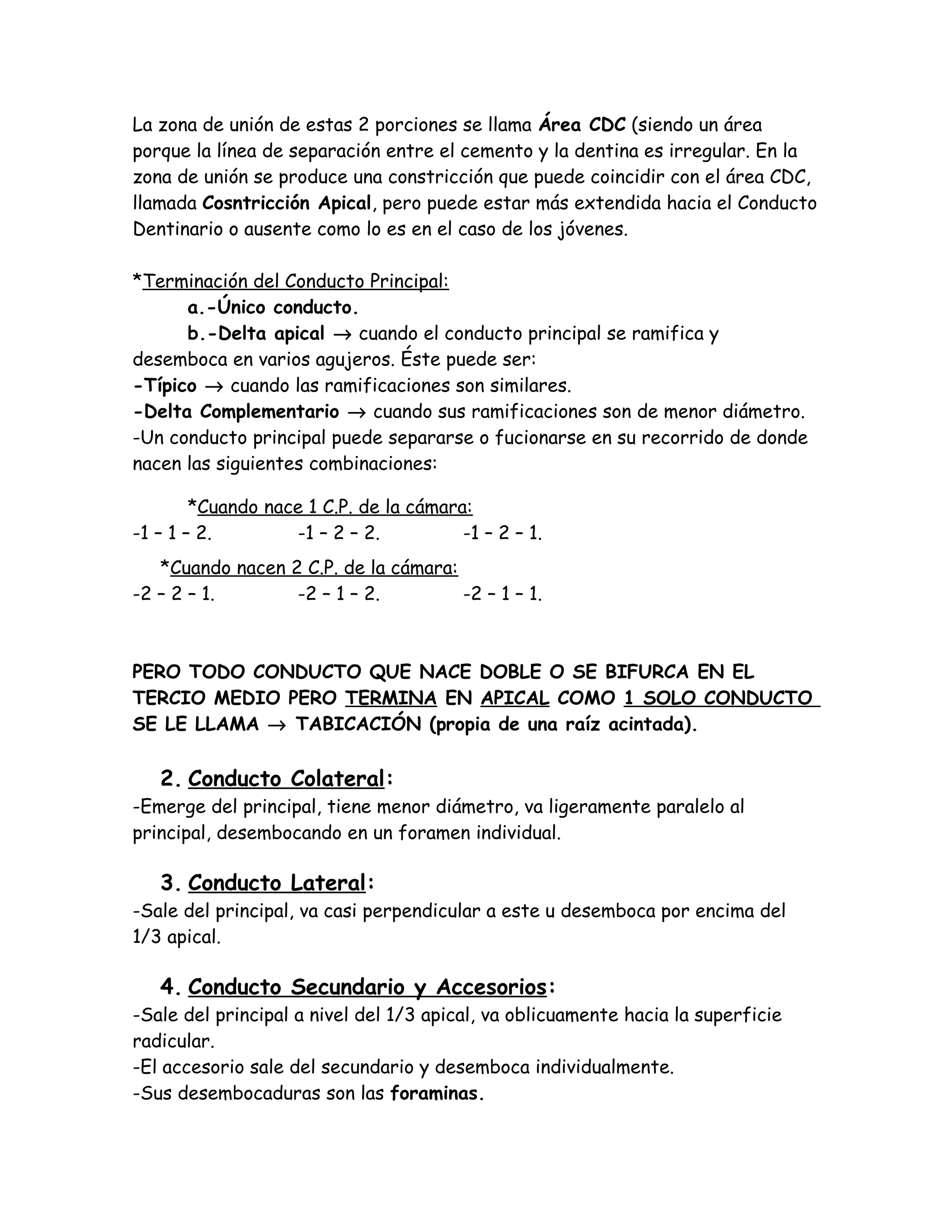 Anatomiaendodontica | DOC